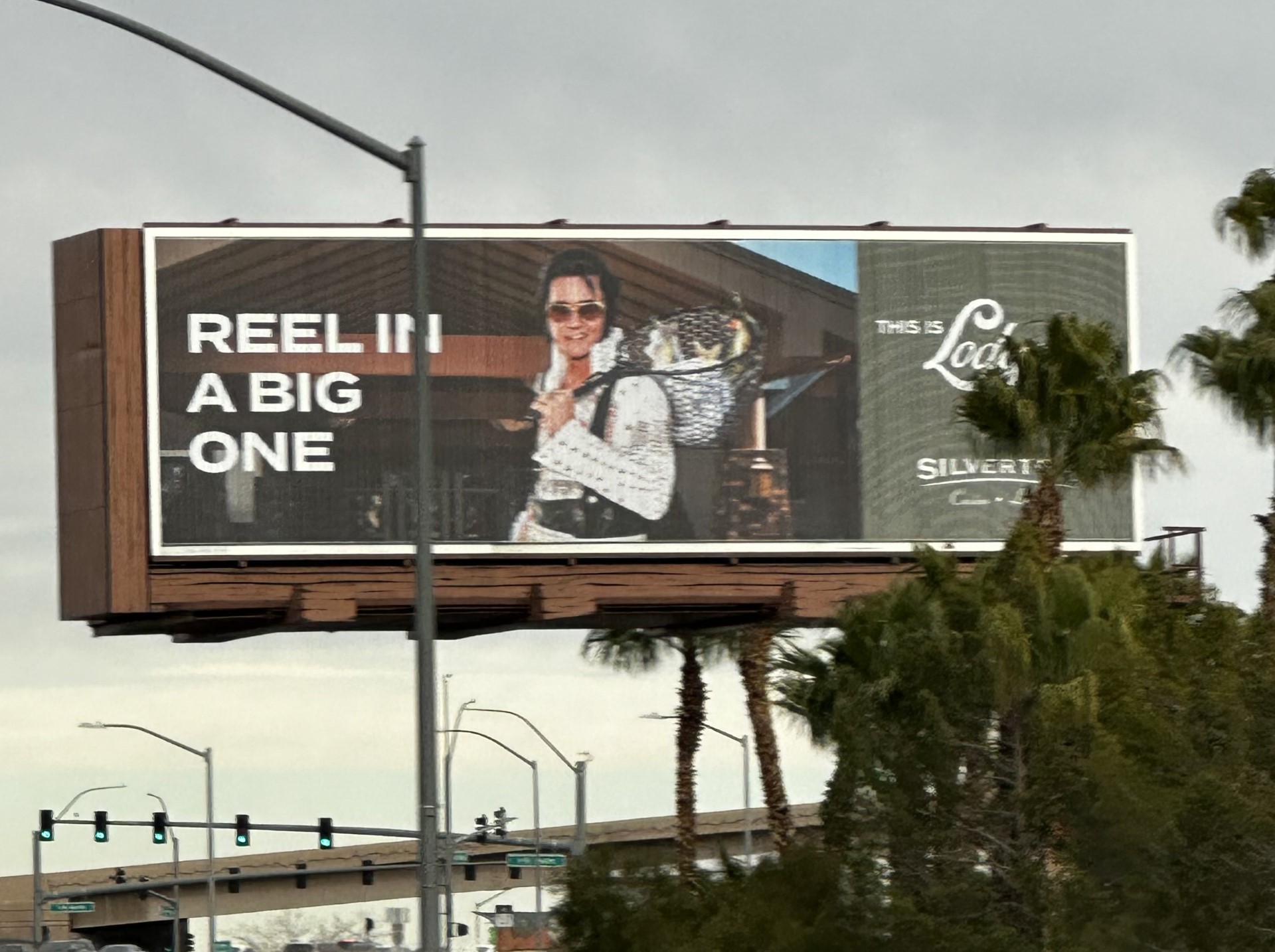 Bio – Travis Allen